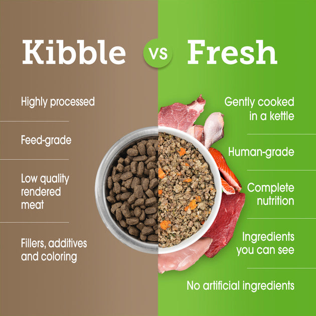 Science Confirms It: Human-Grade Dog Food Is More Digestible — Here’s ...